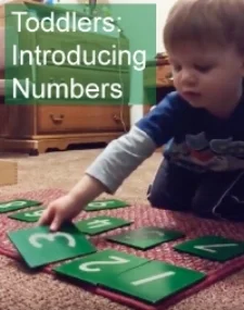 Toddler Introduction to Numbers — Montessori Plus
