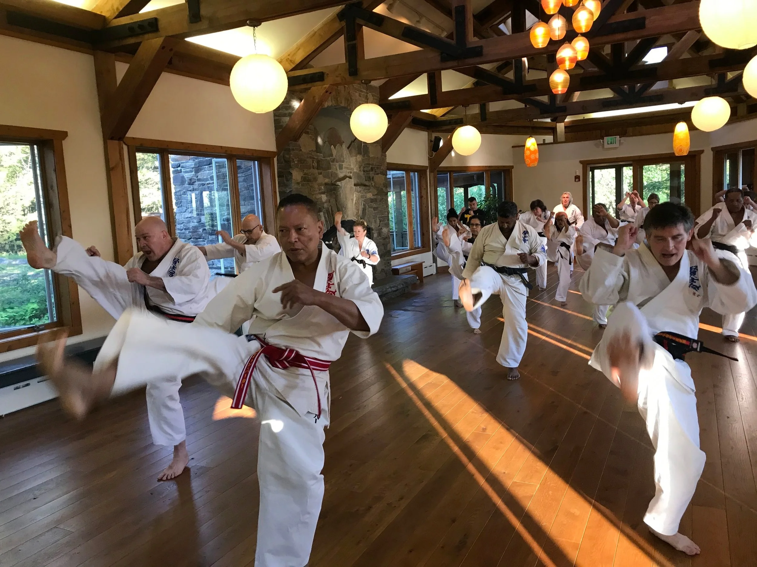 Vanderbilt Kenshikai Karate