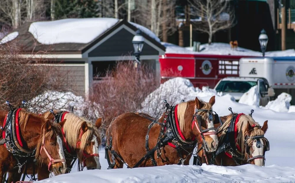 12 Outdoor Winter Activities for Your Adventure Bucket List