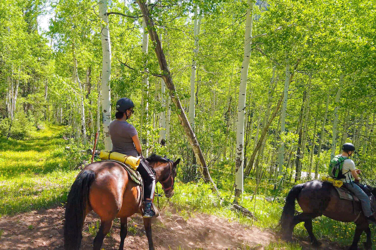 11 Amazing things to do in Aspen, Colorado in Summer/Spring