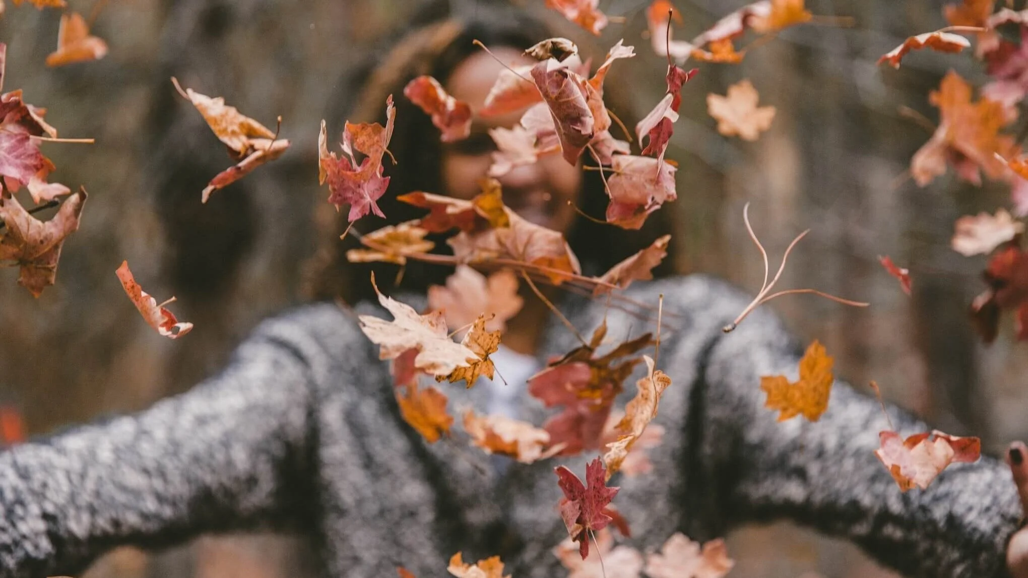 Where to Experience the Best Fall Foliage in the USA — and When to Go!