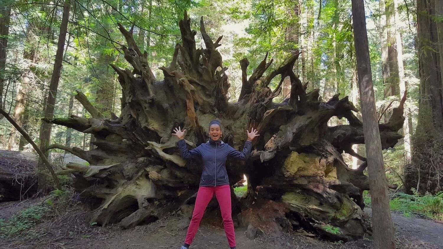 The Best Pacific Coast Highway Road Trip Itinerary (West Coast Stops in ...