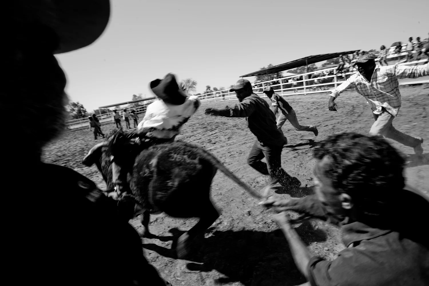 The Doomadgee Rodeo — Hamish Cairns