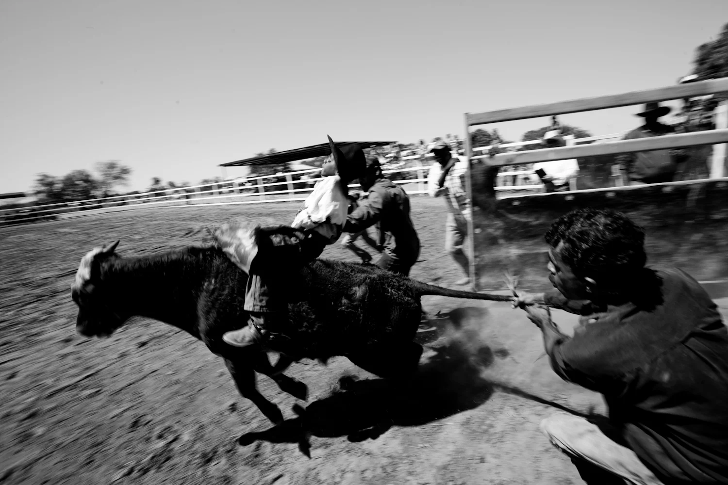 The Doomadgee Rodeo — Hamish Cairns