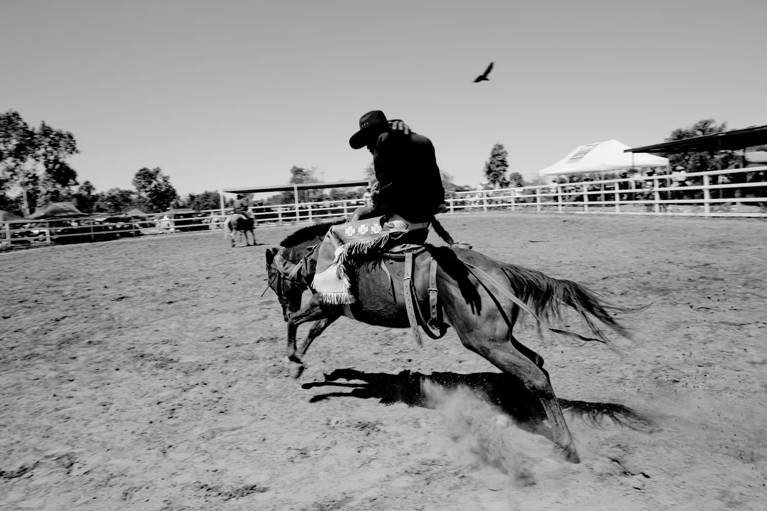 The Doomadgee Rodeo — Hamish Cairns