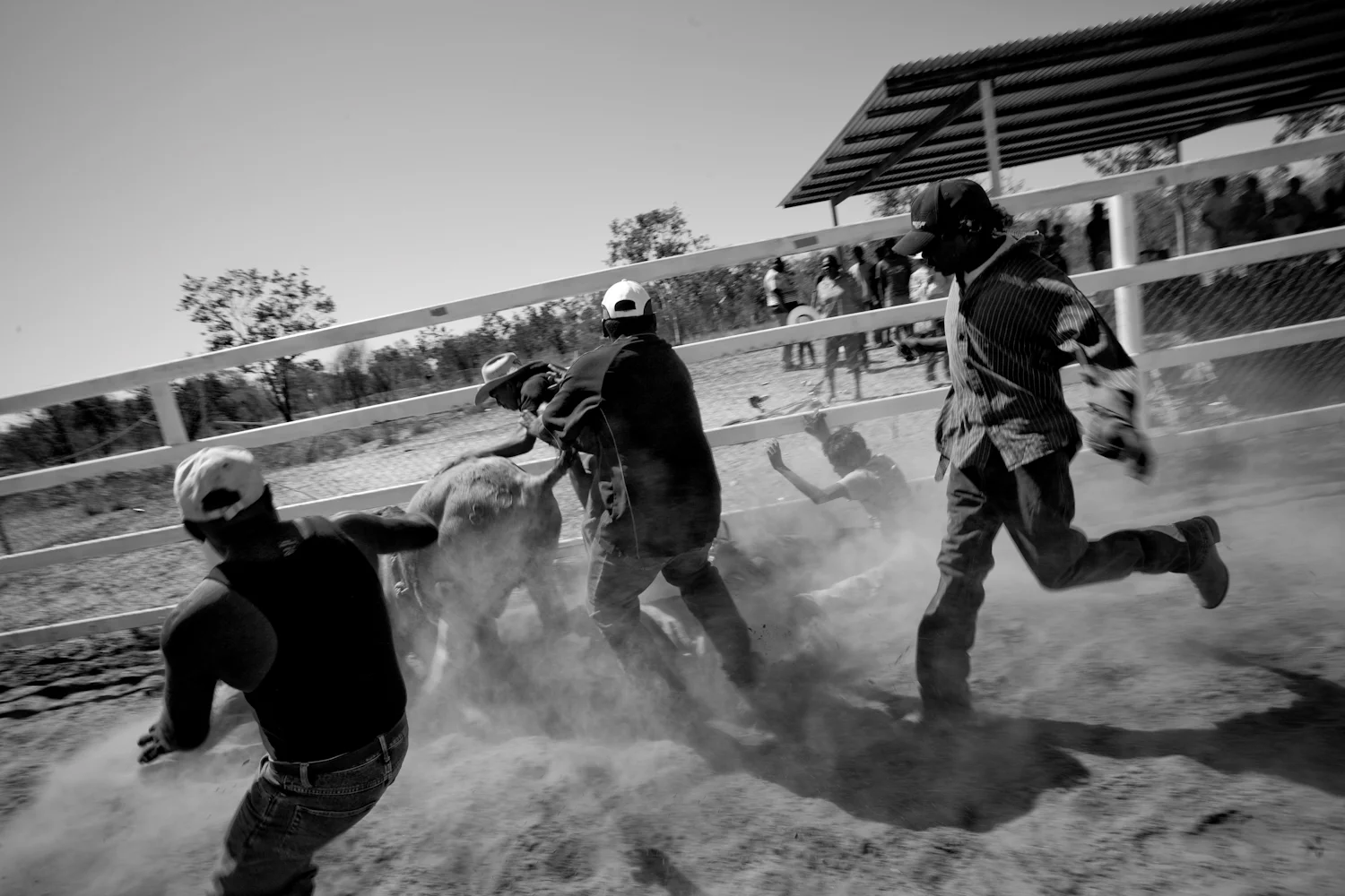 The Doomadgee Rodeo — Hamish Cairns