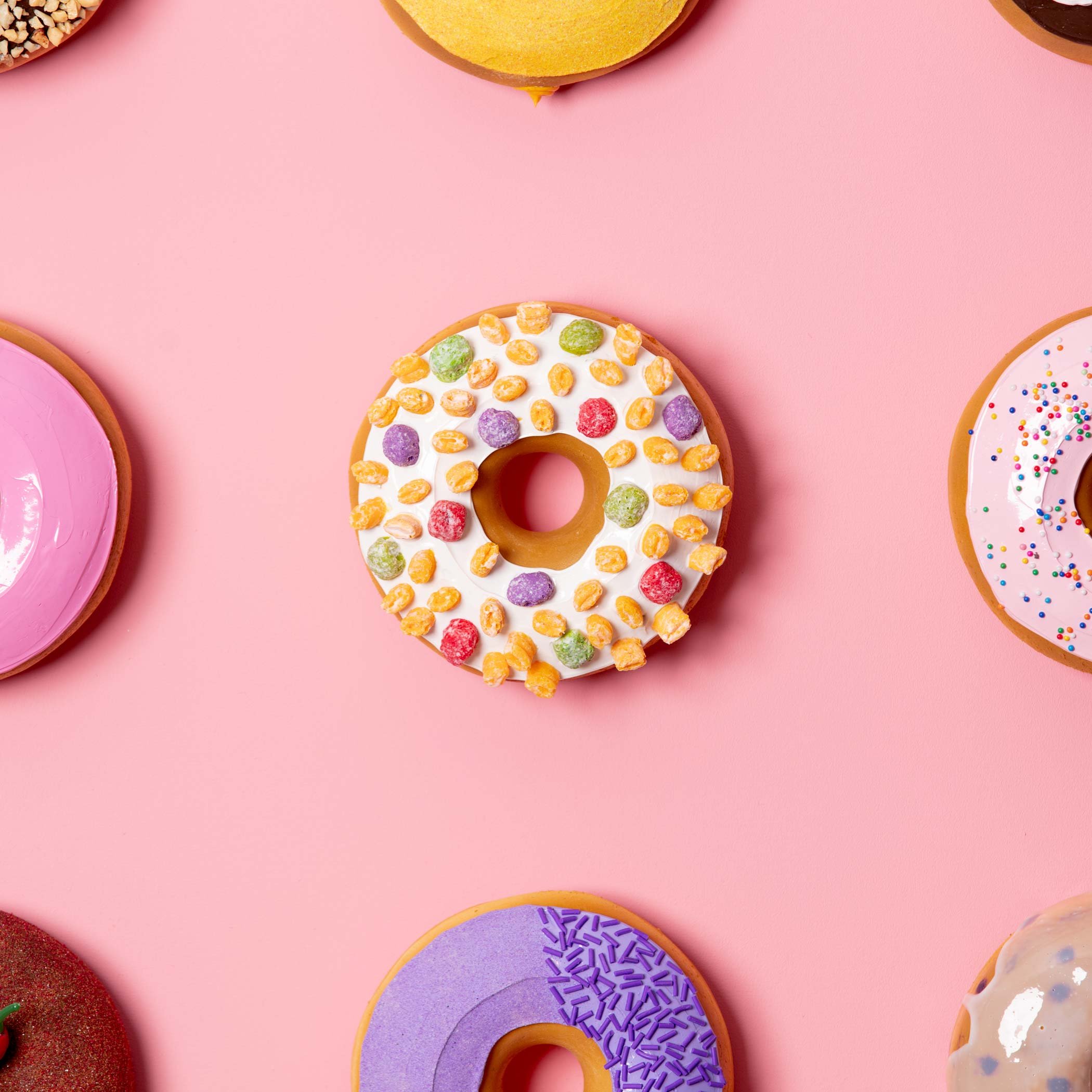 Anna Sweet - Contemporary Artist