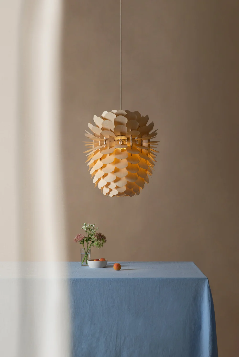 Zappy Collection — Schneid Studio