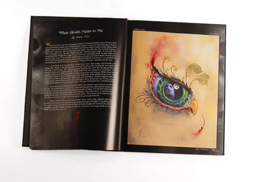 Skull Project - Limited edition hardcover — MatthewAmey.com