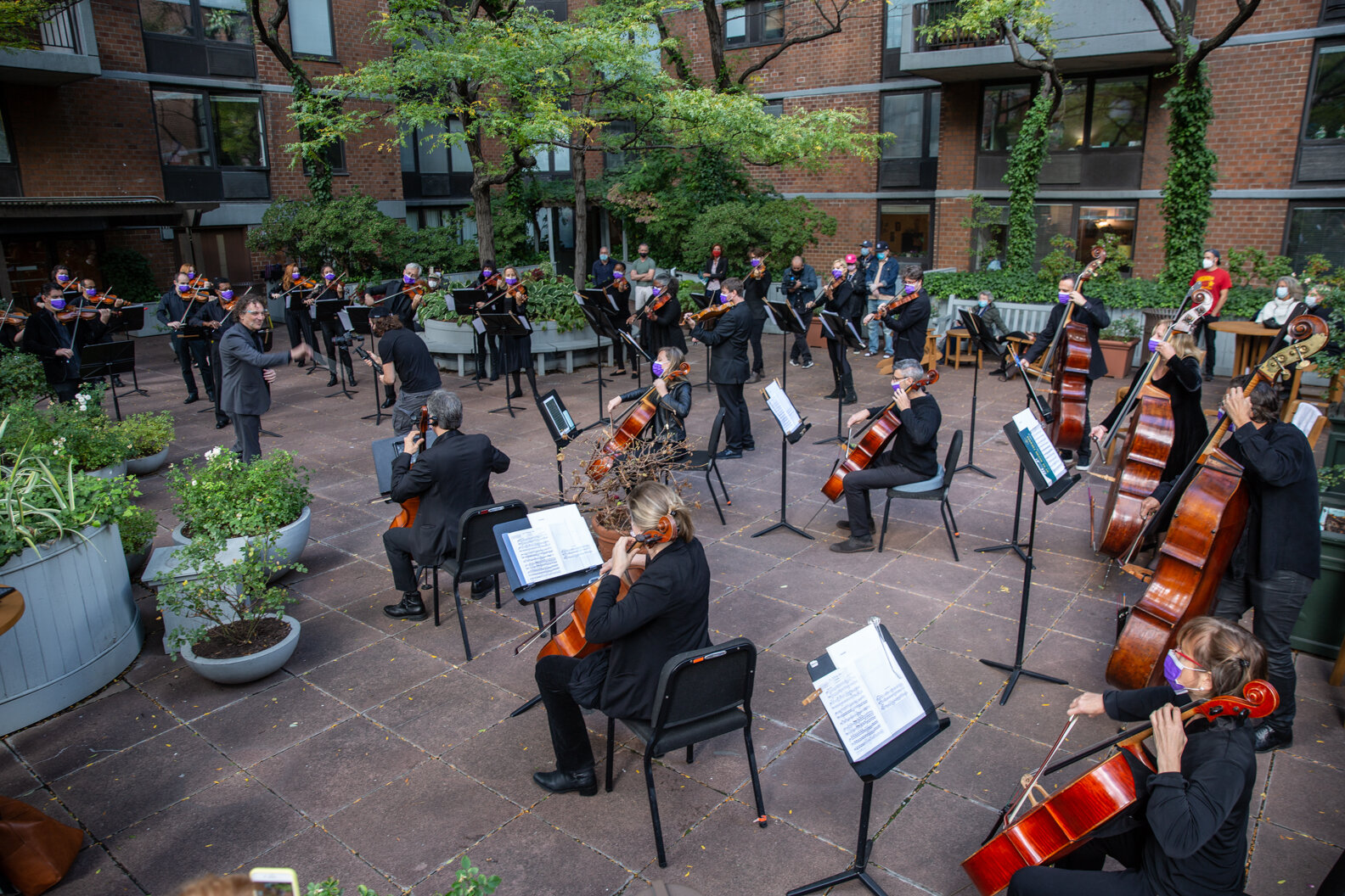 Testimonials & Behind the Scenes from the NYC String Orchestra — Mostly ...