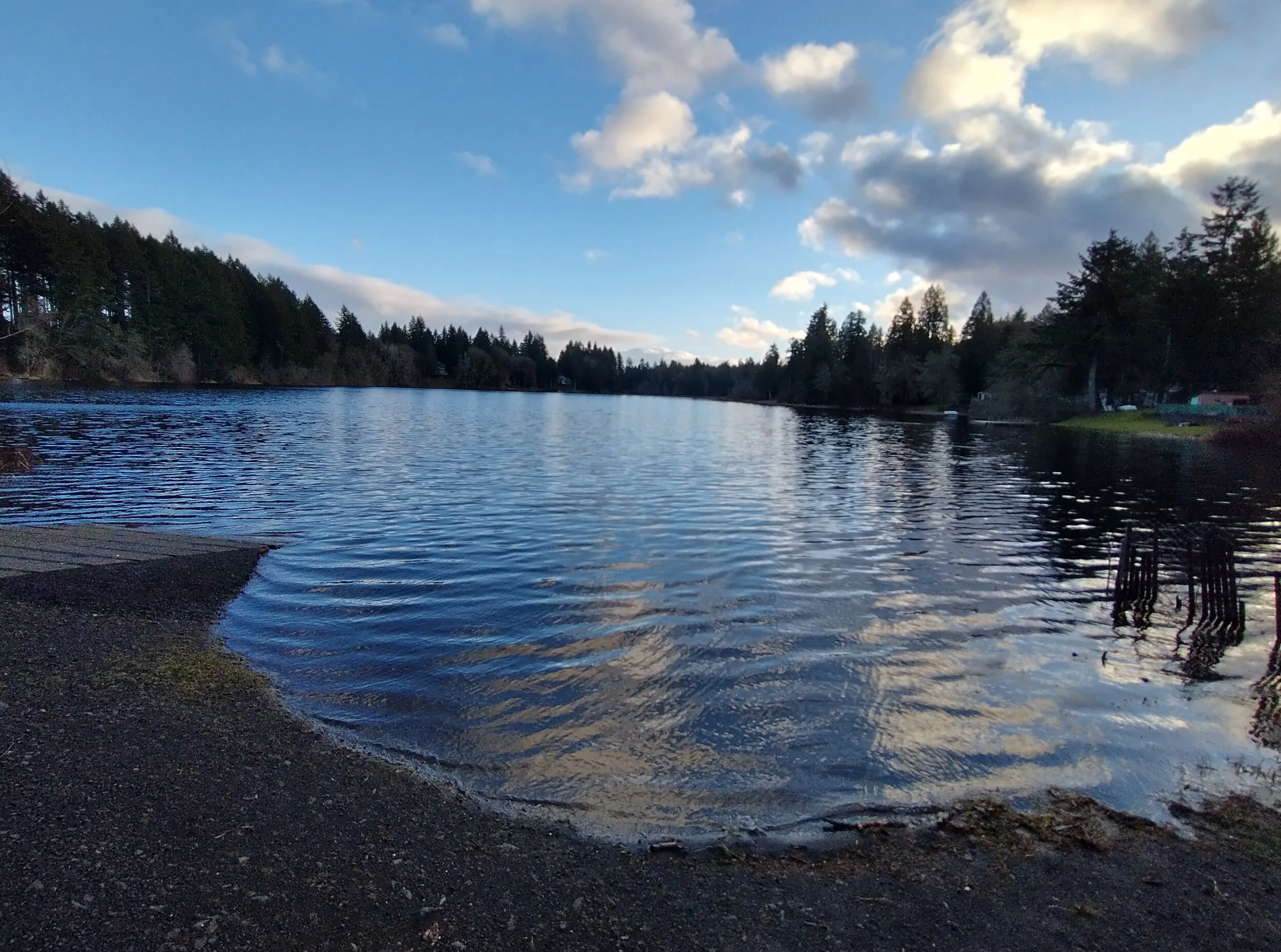 Stages of a Winter Wild Swim — Maria Mudd Ruth
