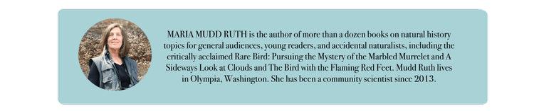 Maria Mudd Ruth