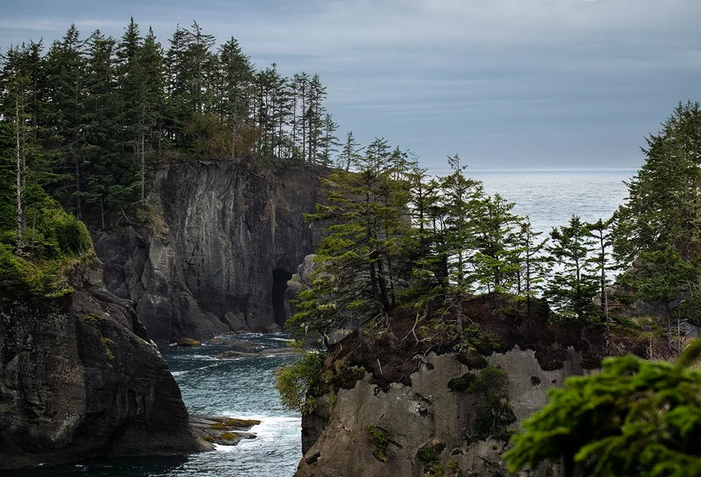 CAPE FLATTERY TRAIL — Francesca Scalpi