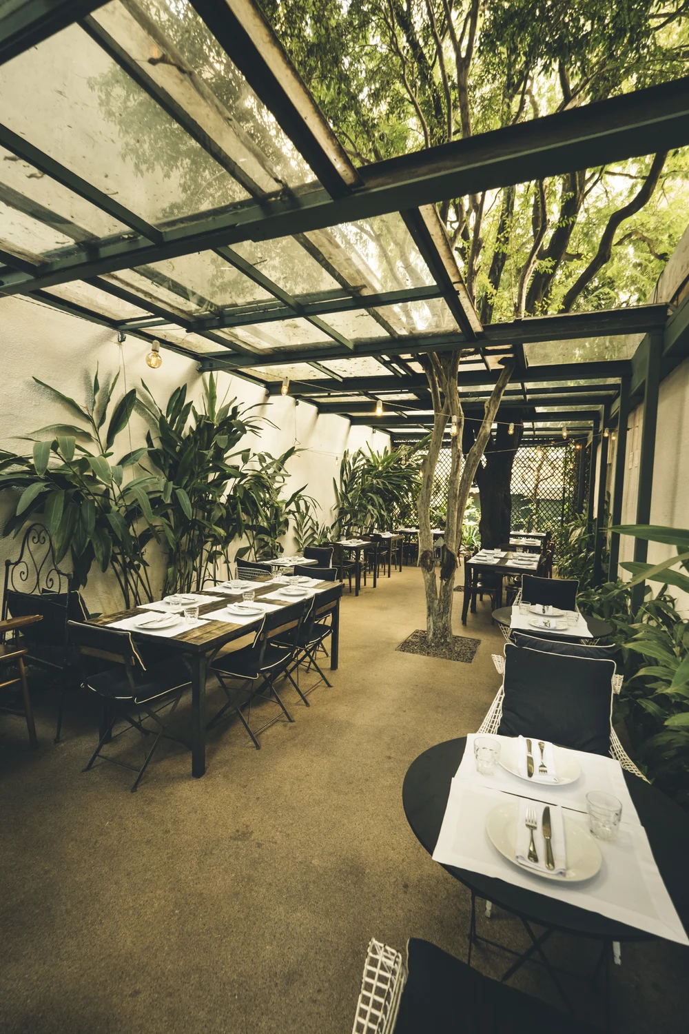 Contato/ Reservas — Chou