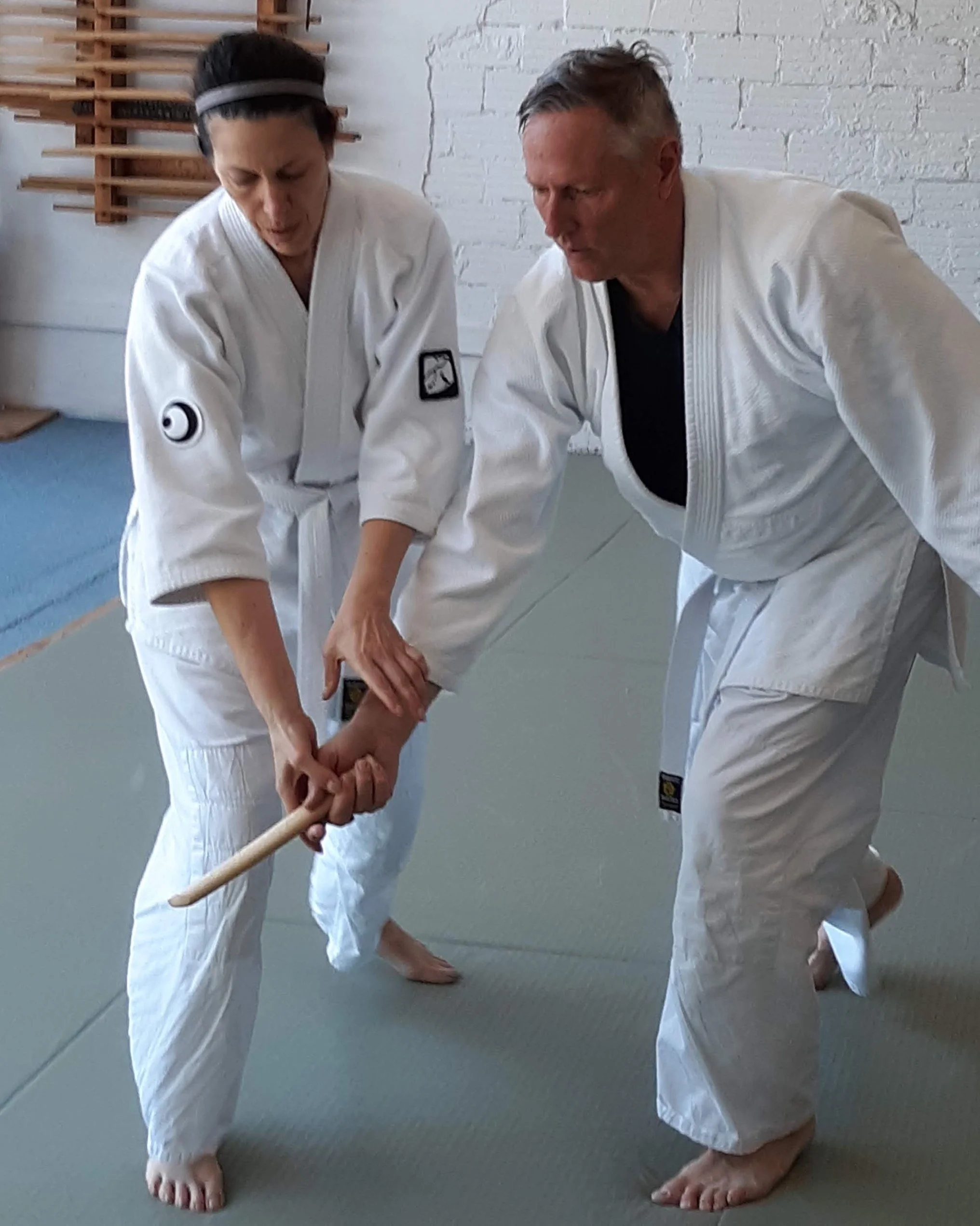 Trust the Process — Aikido Multnomah Aikikai: Portland OR Martial Arts ...