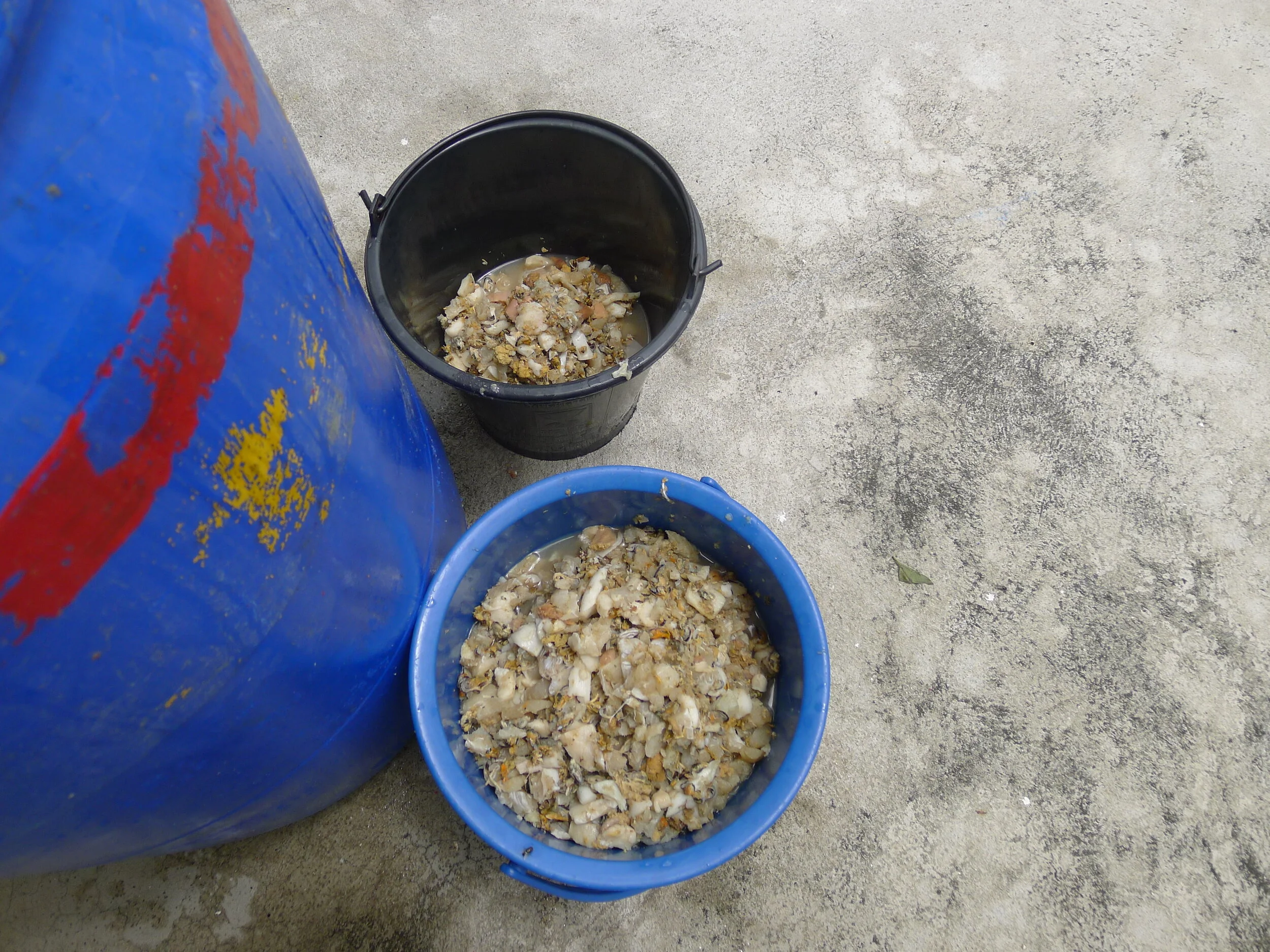 Food waste processor — Machine to turn organic and food waste to ...