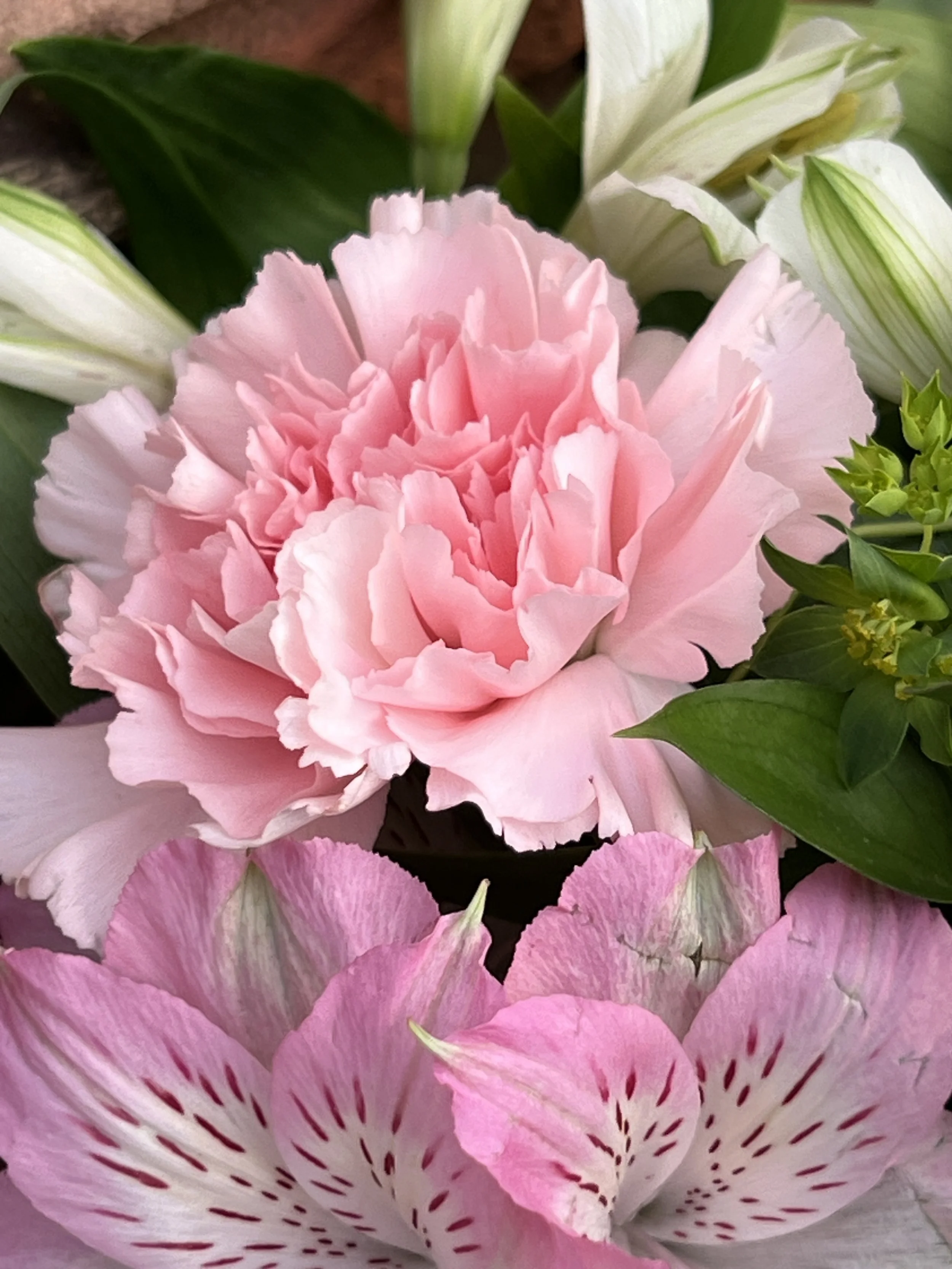 A Celestial Solution