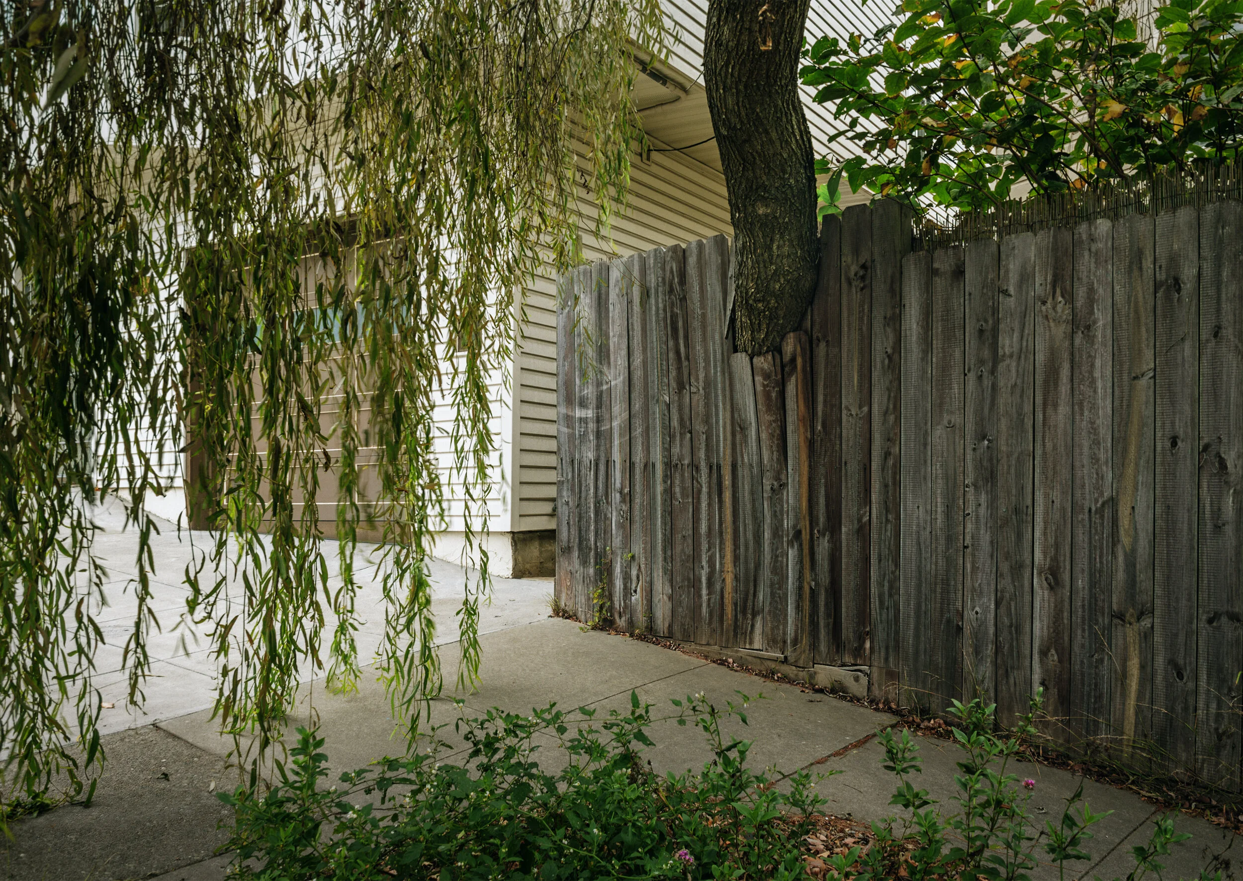 John Priola Spring — SF Camerawork