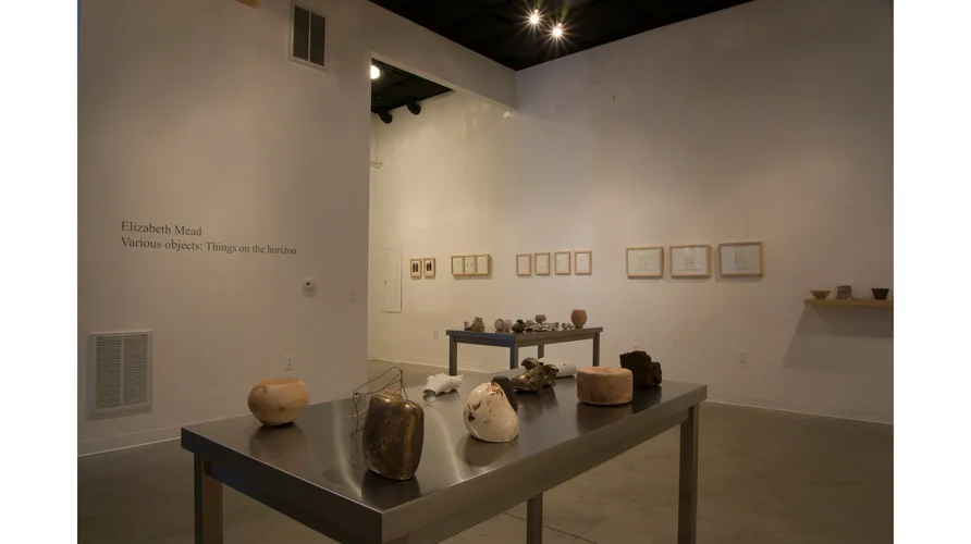 Revisiting Elizabeth Mead’s Various objects: Things on the horizon and ...
