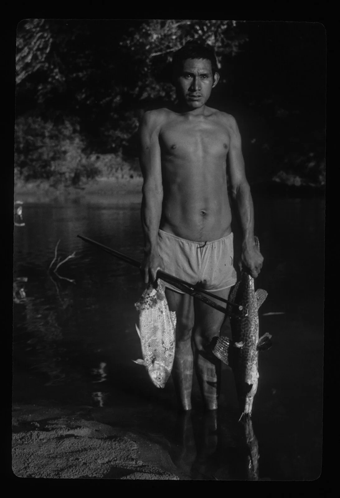 Catching up with Glenn Shepard — Linda Matney Gallery