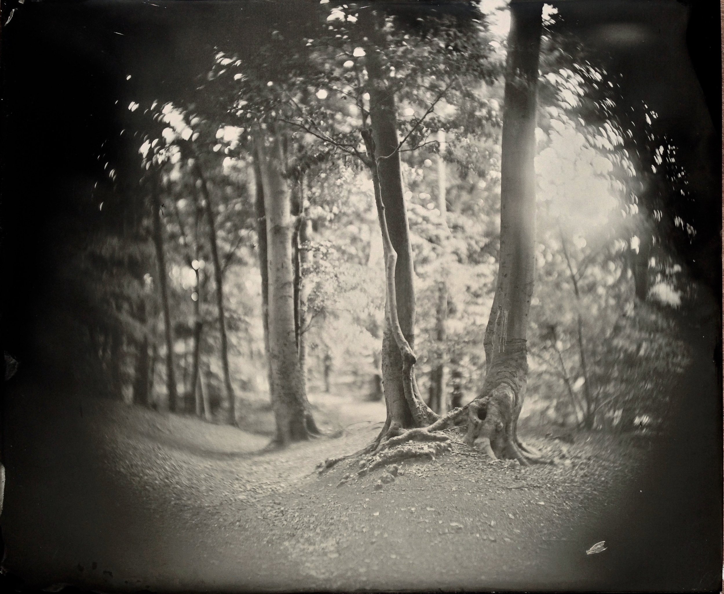 Luther Gerlach — Linda Matney Gallery