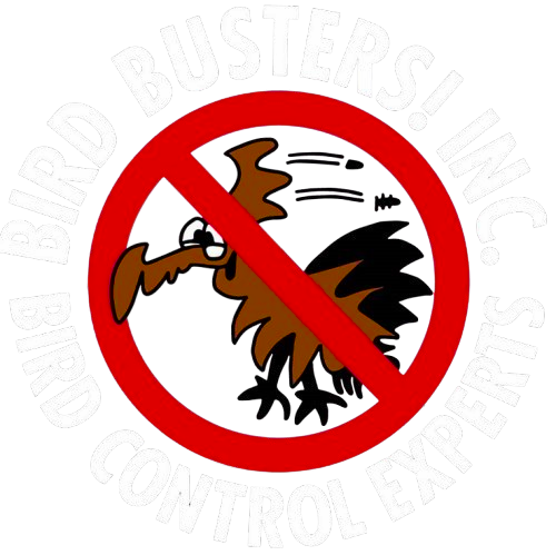 Bird proofing and abatement San Francisco Bay Area