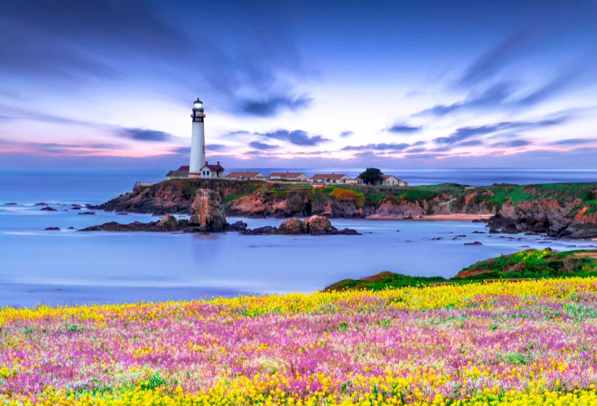 Dolica Tripods — Dolica