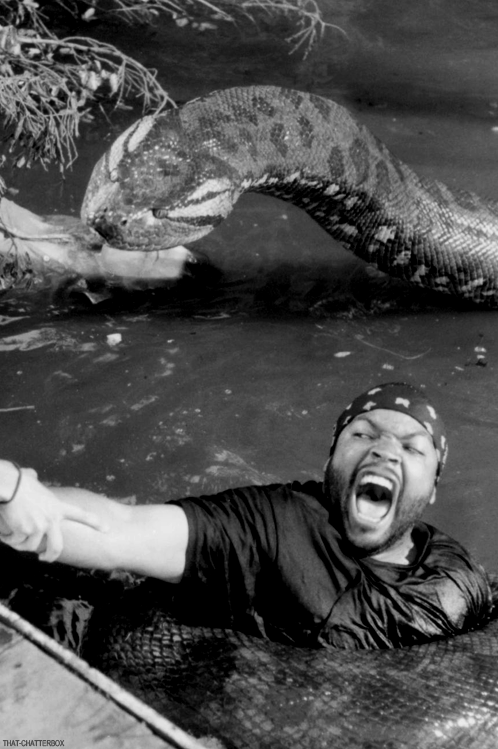 Ice Cube Biography — Hip Hop Scriptures