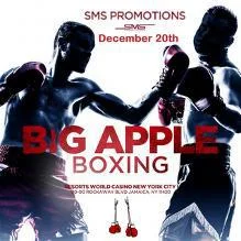 BIG APPLE BOXING