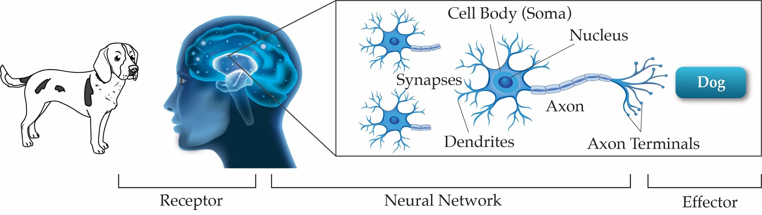 AI, ML, And DL Technologies Overview — So-Cal Engineer