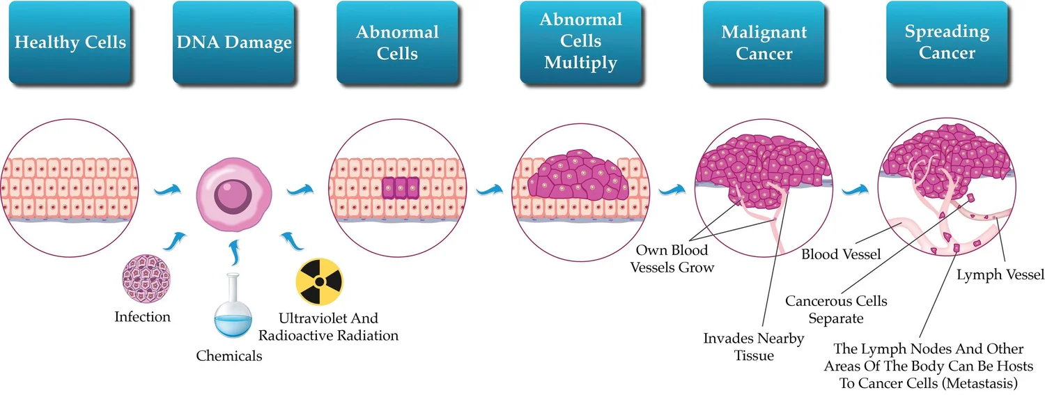Decoding the Human Genome: Empowering Cancer Treatment Research with ...
