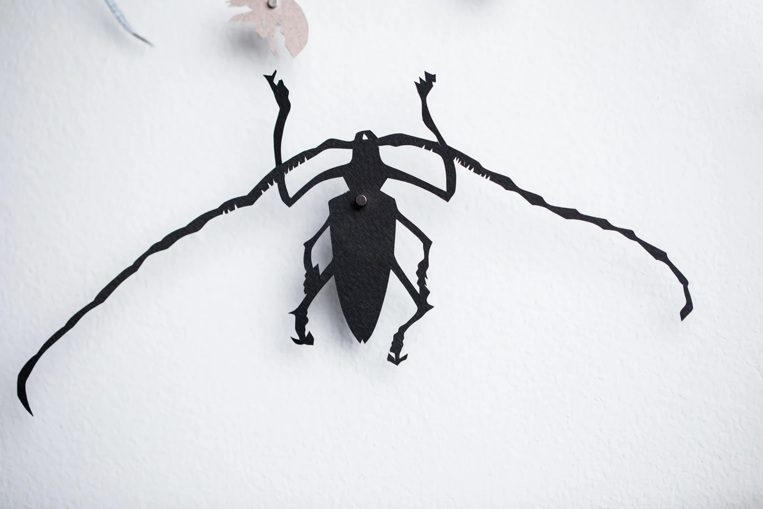 Insectarium Installation at ROOM 100 Gallery — Ingrid A. Erickson