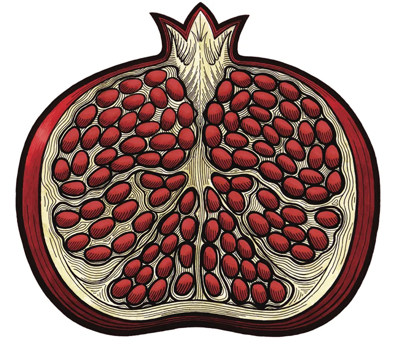 The Aganovich Code — PRECIOUS 7