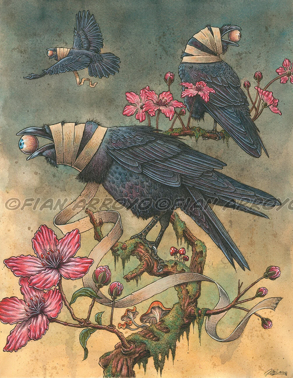 Fian Arroyo Illustration