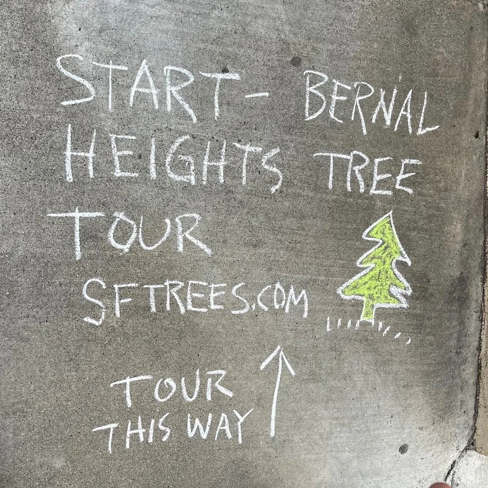 Bernal Heights (south) Tree Tour (1-29-23) — San Francisco Trees