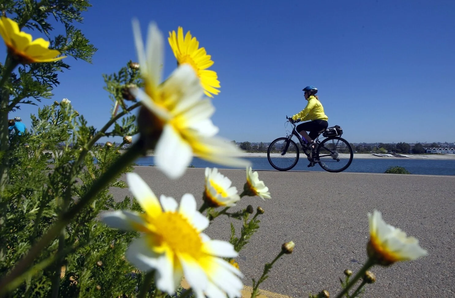 San Diego Bicycle Club | Cycling Rides, Events & Community - SDBC