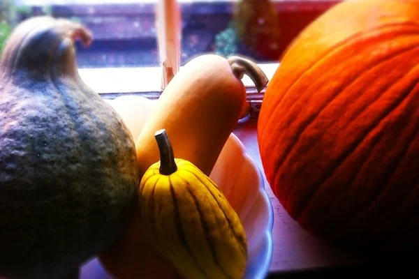 Leftover Squash? Try This Vit A-Packed Fall Spice Smoothie — Jolene Hart