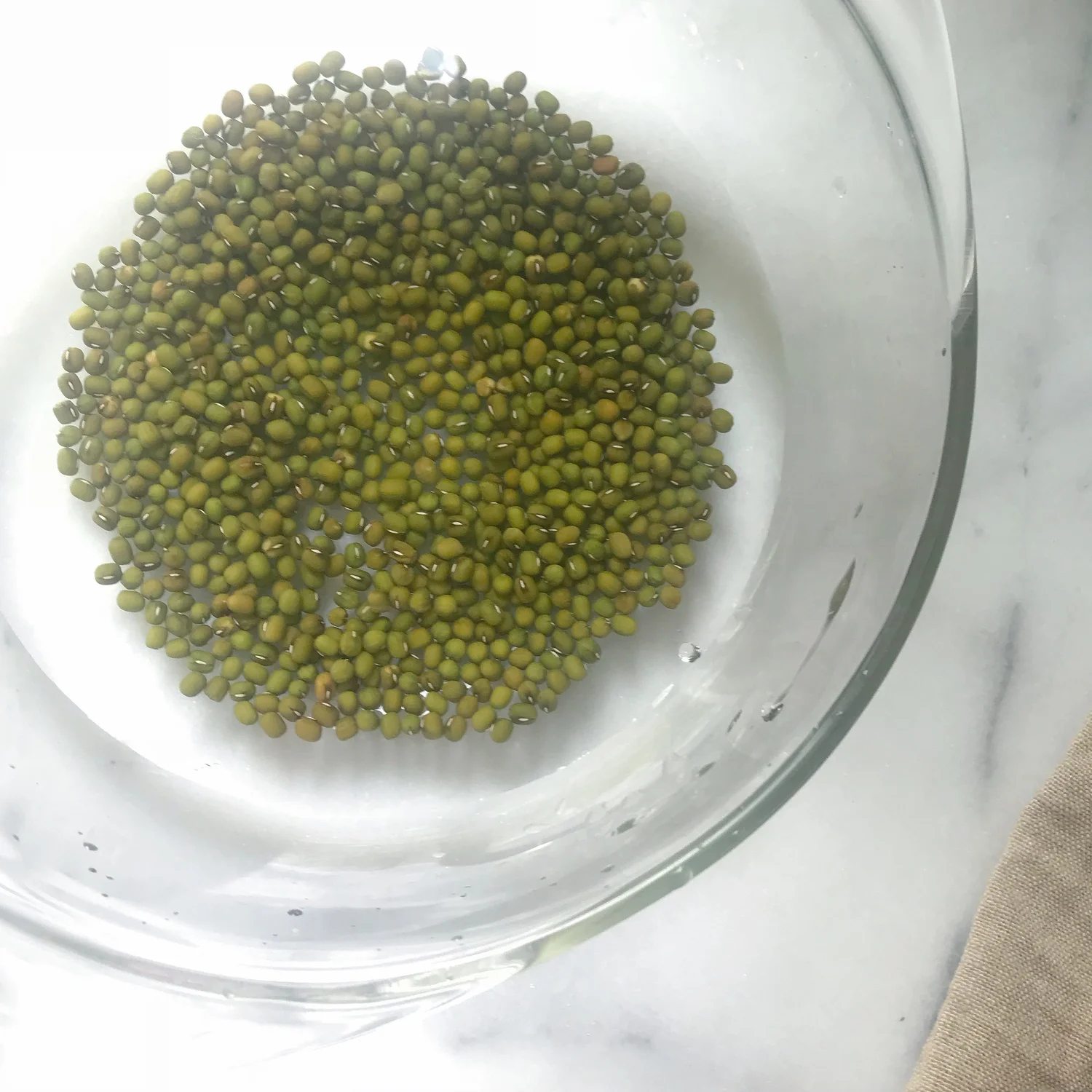 How to Sprout Mung Beans — Jolene Hart