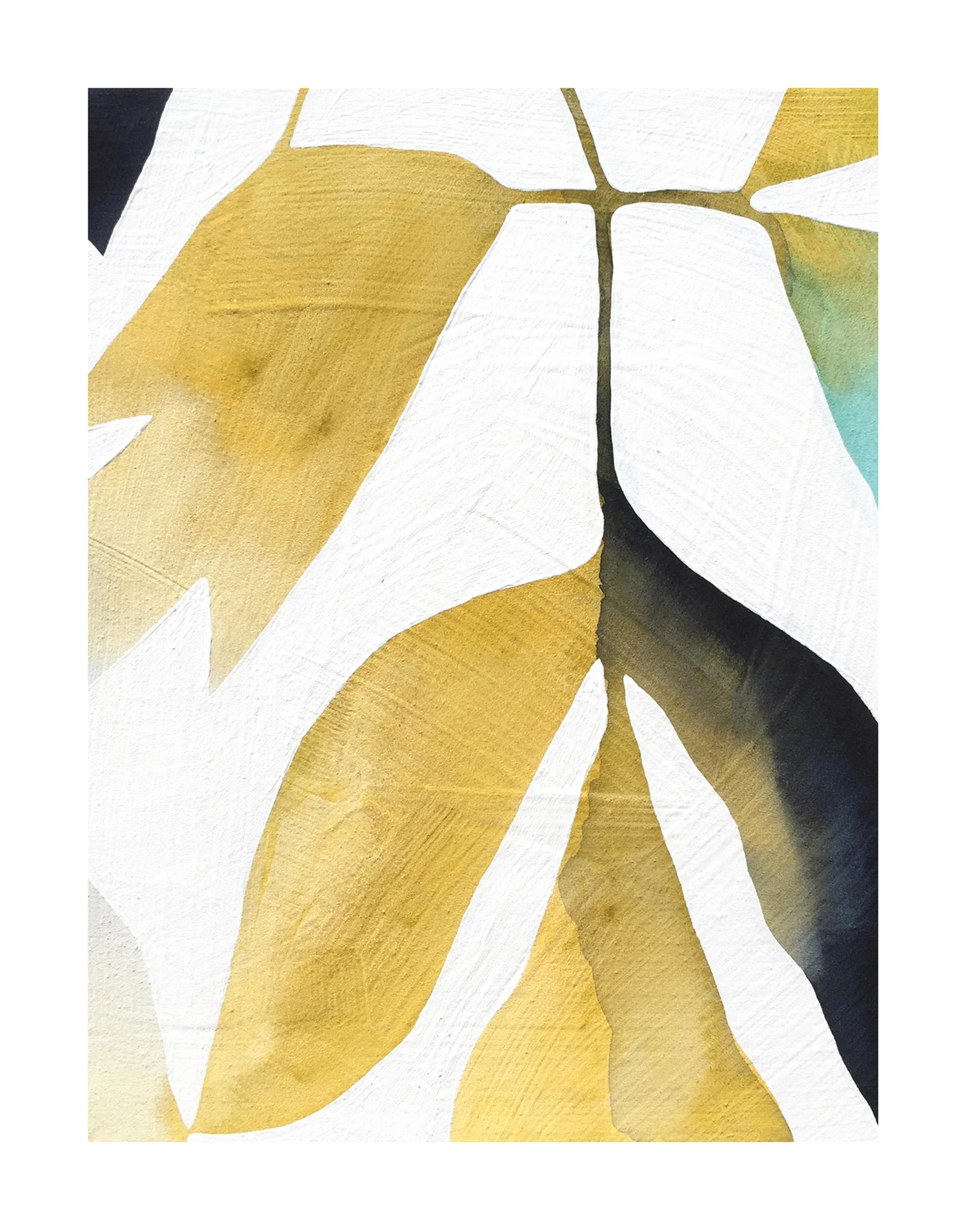 Rachel Austin Botanical Art Prints — Rachel Ann Austin