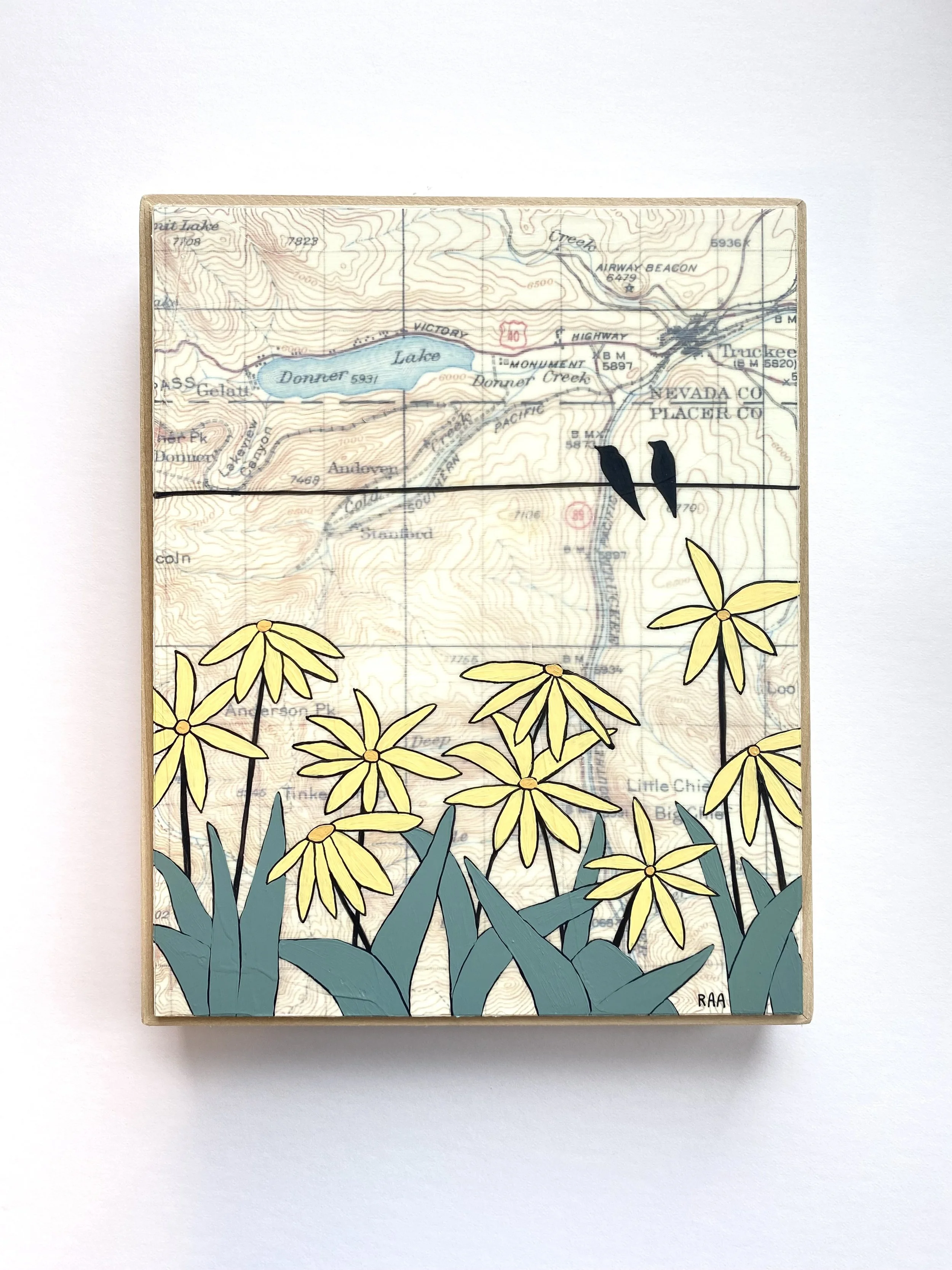 Map Paintings — Rachel Ann Austin