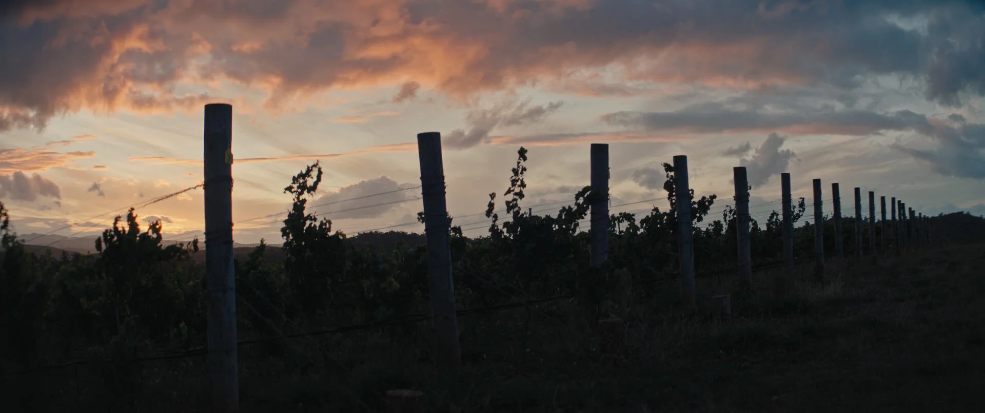 Joshua Lamont ACS - Cinematographer