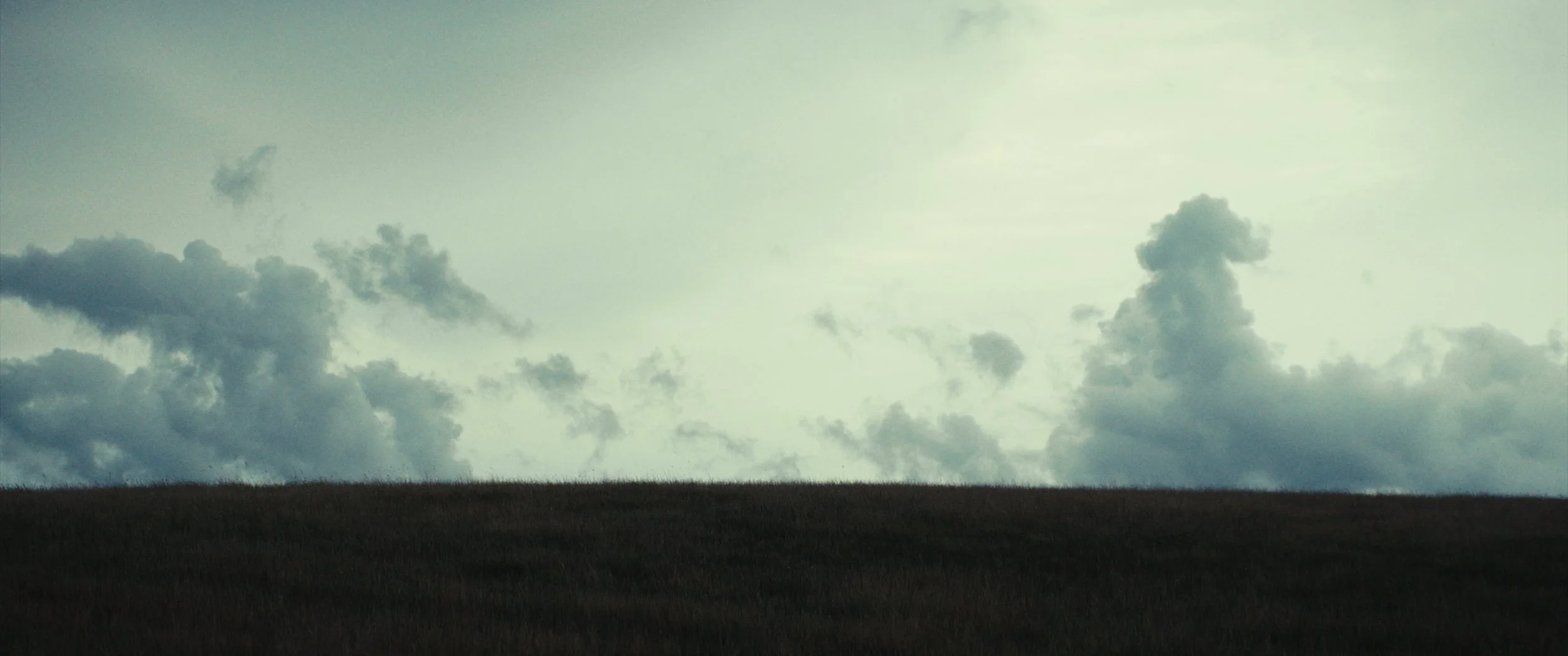 A Beating Heart — Joshua Lamont ACS