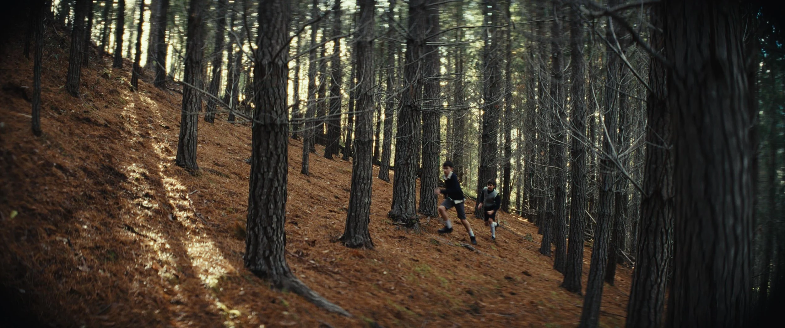 A Beating Heart — Joshua Lamont ACS