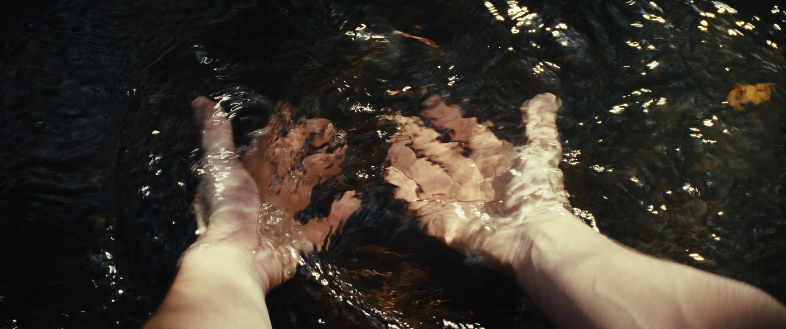 A Beating Heart — Joshua Lamont ACS