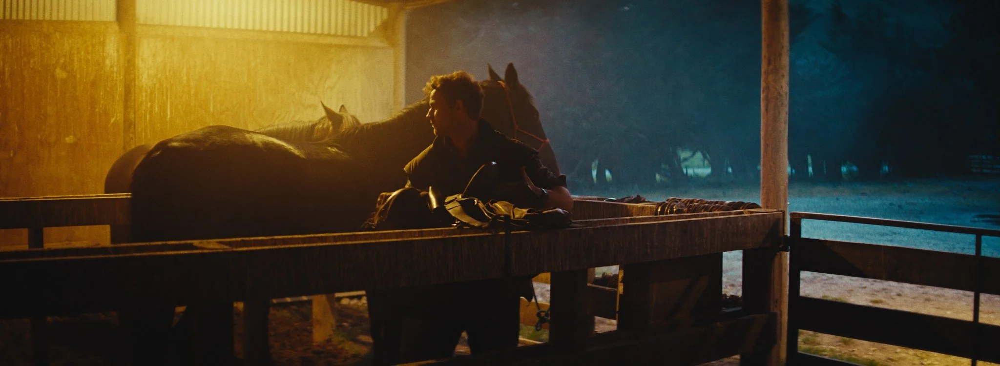 Joshua Lamont ACS - Cinematographer