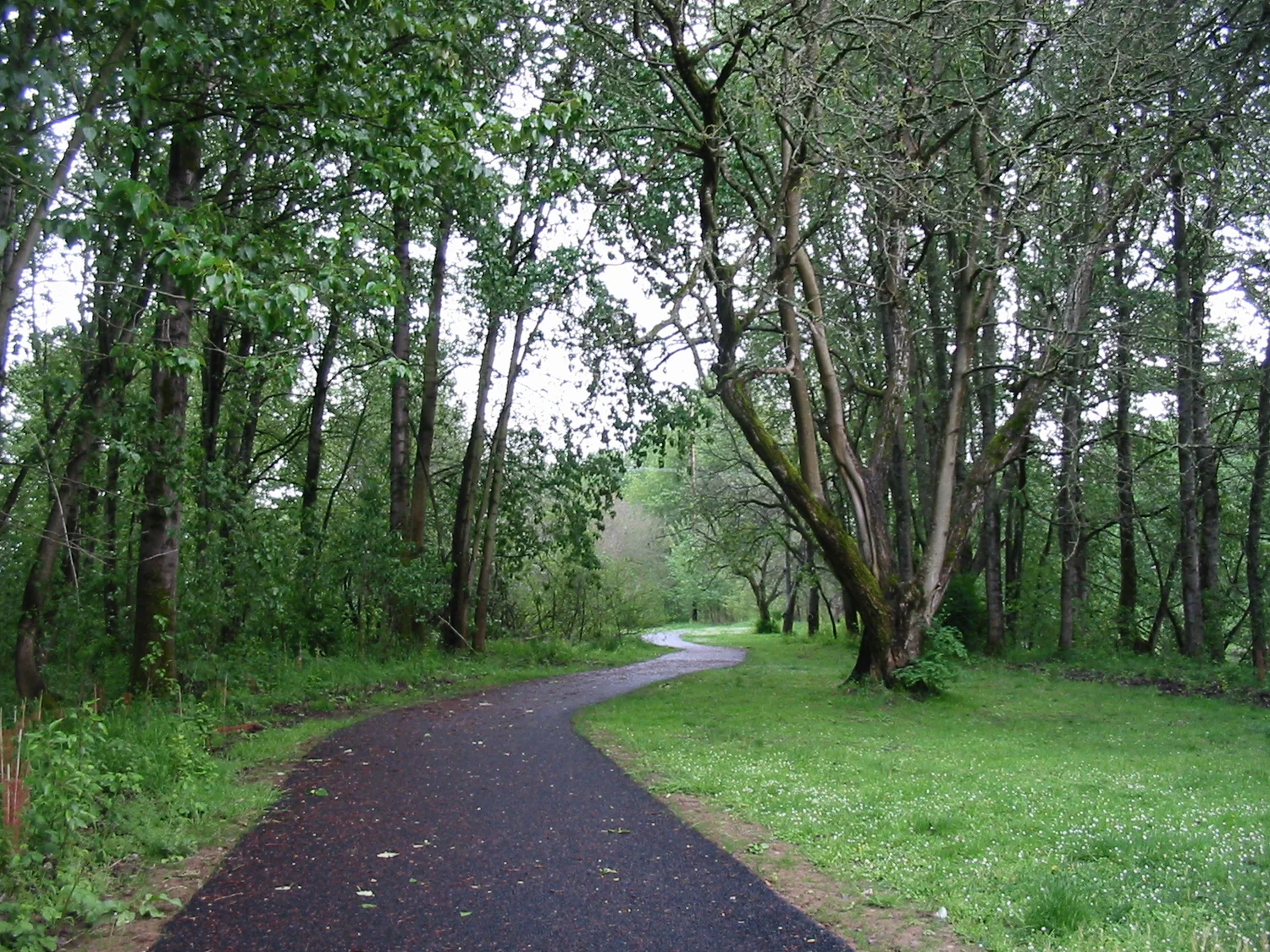 Secret Portland Walking Trails You Probably Didn't Know About — Urban ...