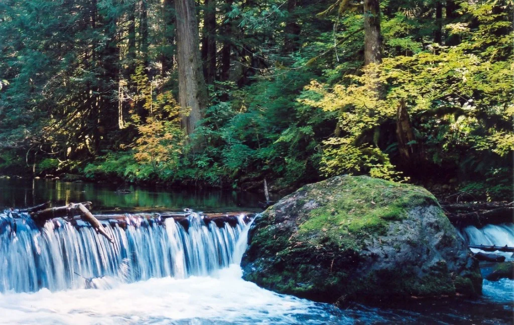 Secret Portland Walking Trails You Probably Didn't Know About — Urban ...