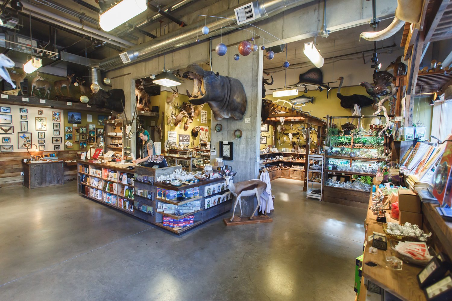 Community Business Spotlight: Paxton Gate — Urban Nest Realty