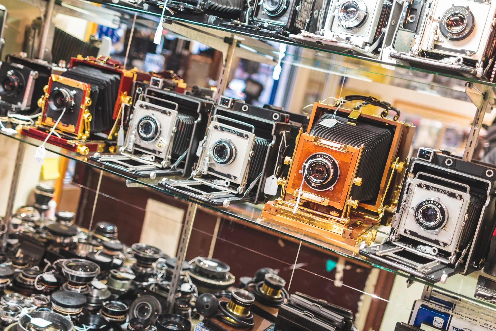Community Business Spotlight: Blue Moon Camera — Urban Nest Realty