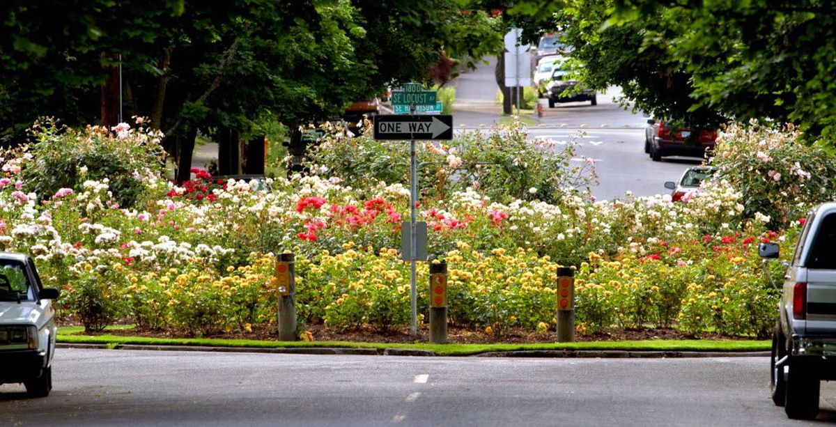 Neighborhood Spotlight: Historic Ladd's Addition — Urban Nest Realty